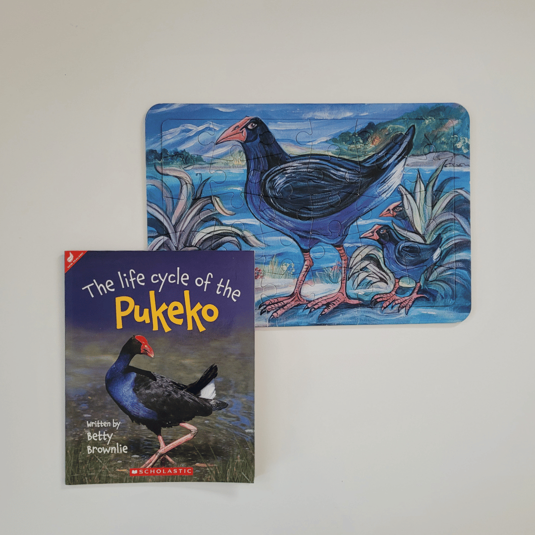 Life Cycle of the Pukeko Book and Puzzle – Earth Mama NZ